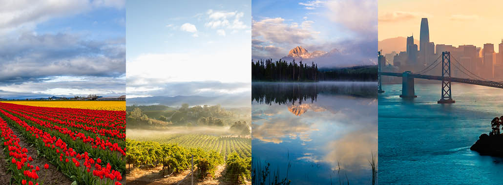 Banner Bank | Personal & Business Banking in the West